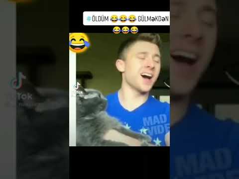 Mezeli pisikler - zoo prikol 2021
