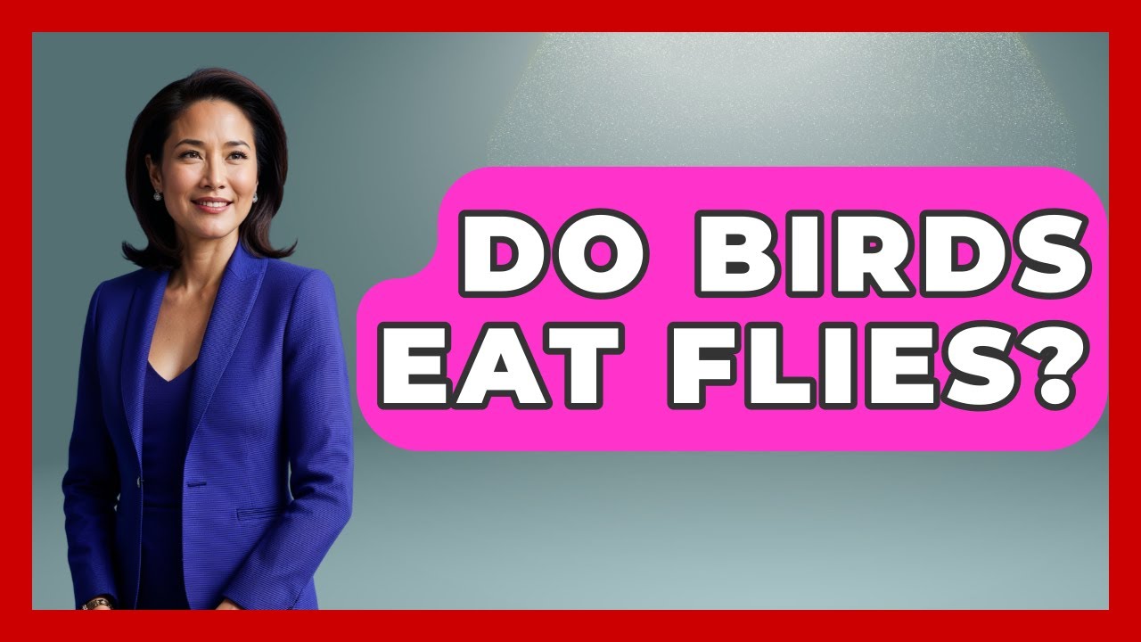 Do Birds Eat Flies? - Bird Watching Diaries - YouTube