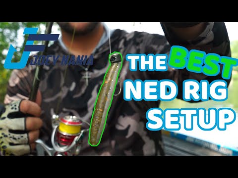 The BEST NED Rig Setup! | ( Rod, Reel, and Bait ) - YouTube