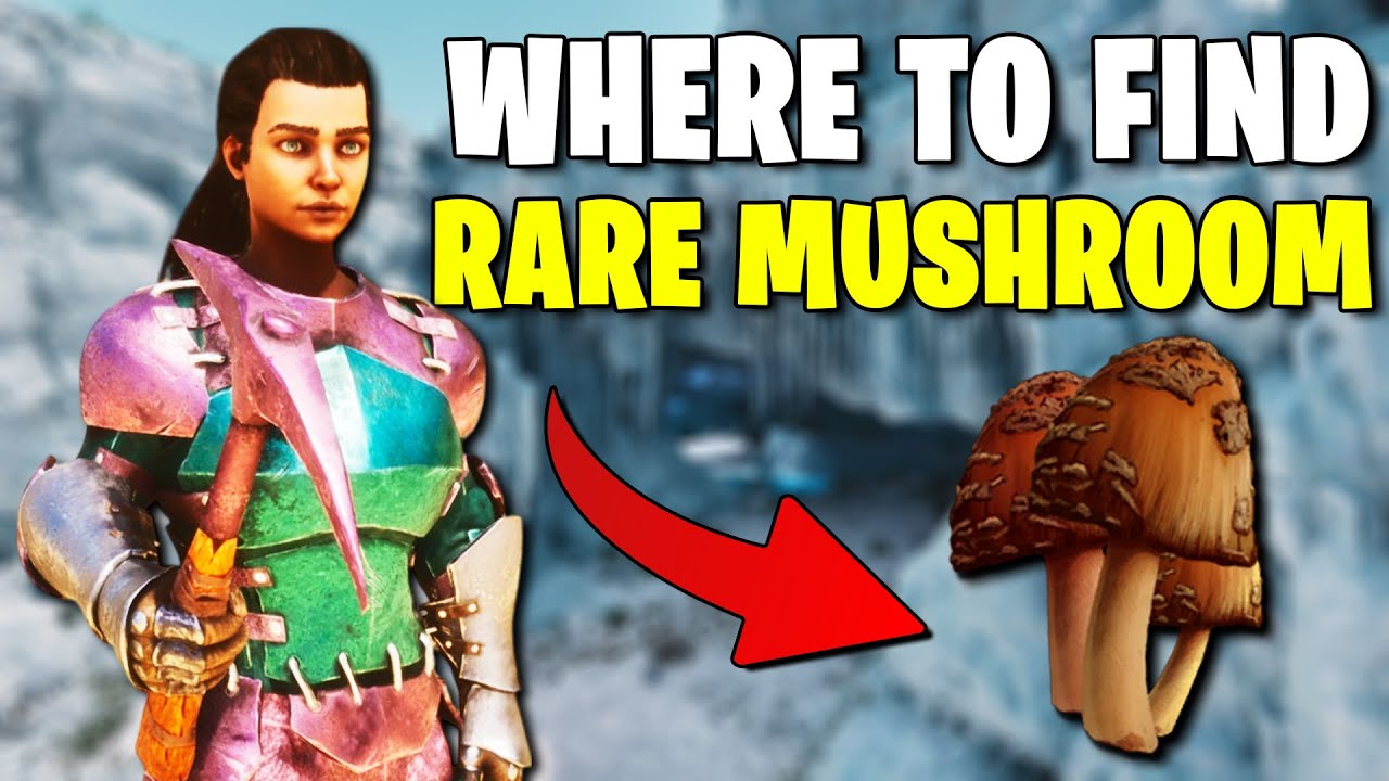WHERE TO FIND RARE MUSHROOMS - ARK SURVIVAL ASCENDED - RAGNAROK - YouTube