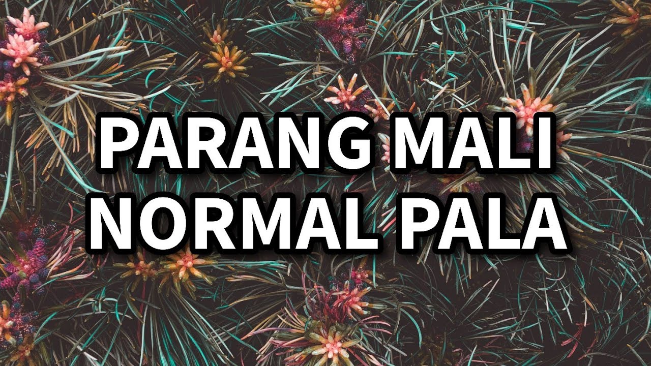 5 THINGS NA PARANG MALI PERO NORMAL PALA SA HALAMAN | Plant Care for ...