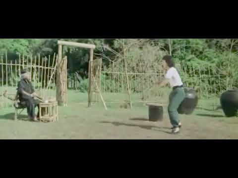 Yuen Siu Tien Ve Jackie Chan Sarhoş Usta 1978