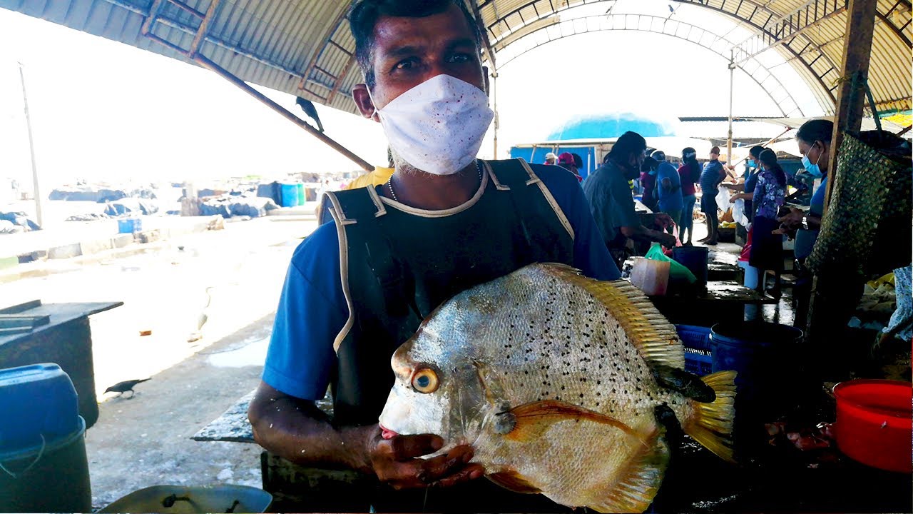 Sickle Fish Cutting | Fish Cutting Experts - YouTube