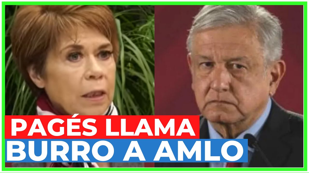 "La MARCHA FALSA y FÚN3BR3"; AMLO es un BURRO, NO SABE SER PRESIDENTE ...