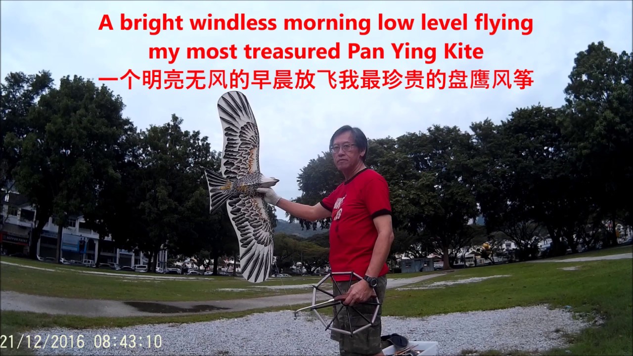 Low Level Flying Pan Ying Kite - Video 20 - YouTube