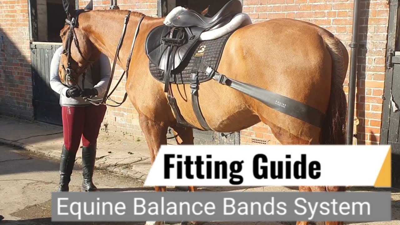 How to Fit Equine Balance Bands Video - YouTube