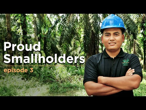 Bangga Jadi Petani | Ep 3 | Willis Efri: Lulusan S2 yang Kembali ke Kebun Sawit