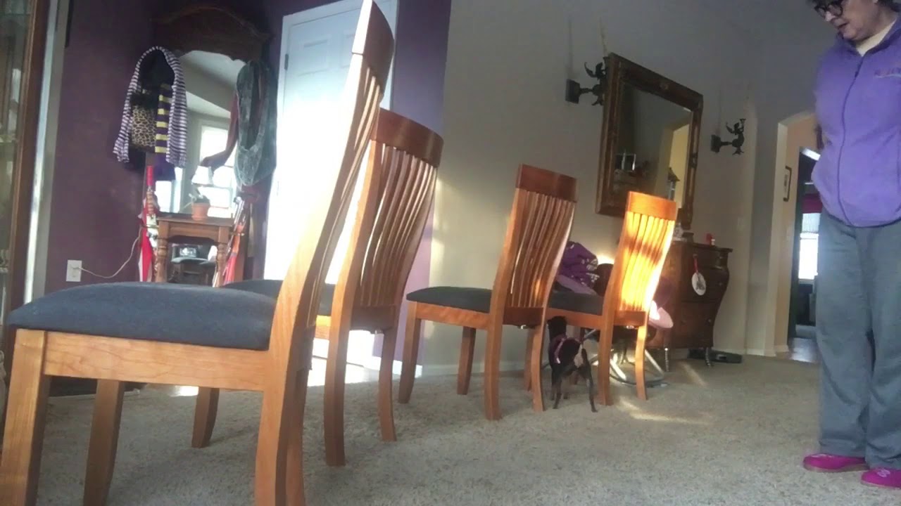 Trina Chair Game 2-2-20 - YouTube
