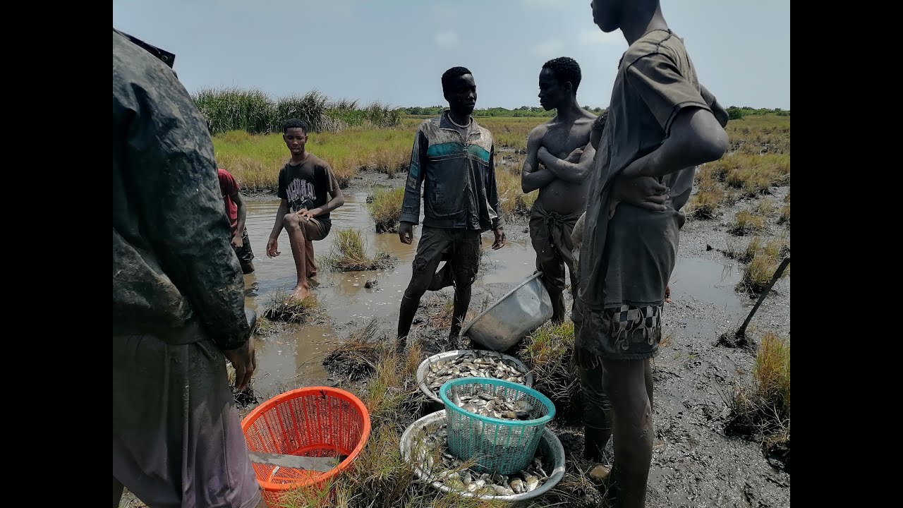 Ancient Meets Modern: Traditional Fishing Method - YouTube