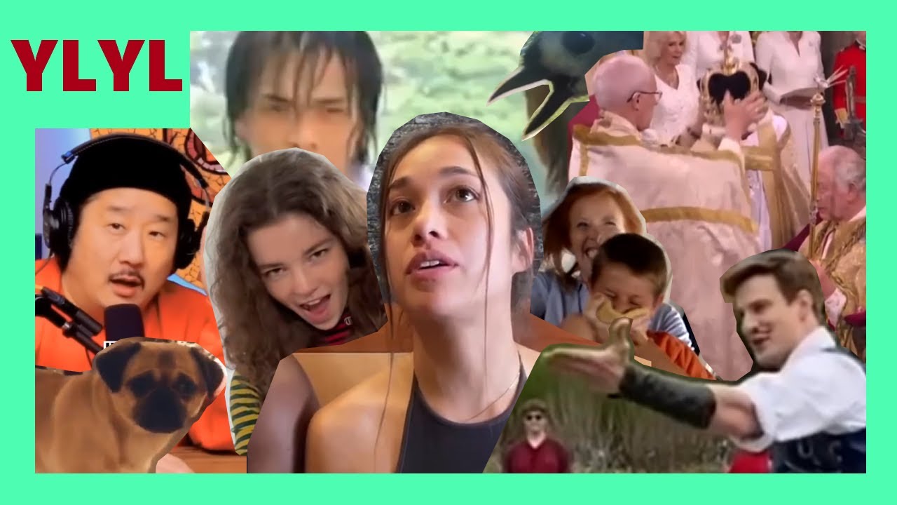 YLYL Compilation - Vol. 8 - YouTube