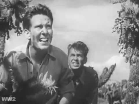 The Life and Death of The WW2 Tail Gunners. Lancaster Bomber Tail ...