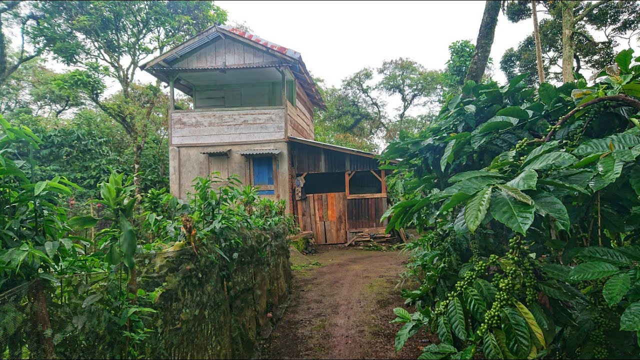 Pondok Kebun Cantik Dan Bersih ini Ternyata Milik Seorang Wanita ...