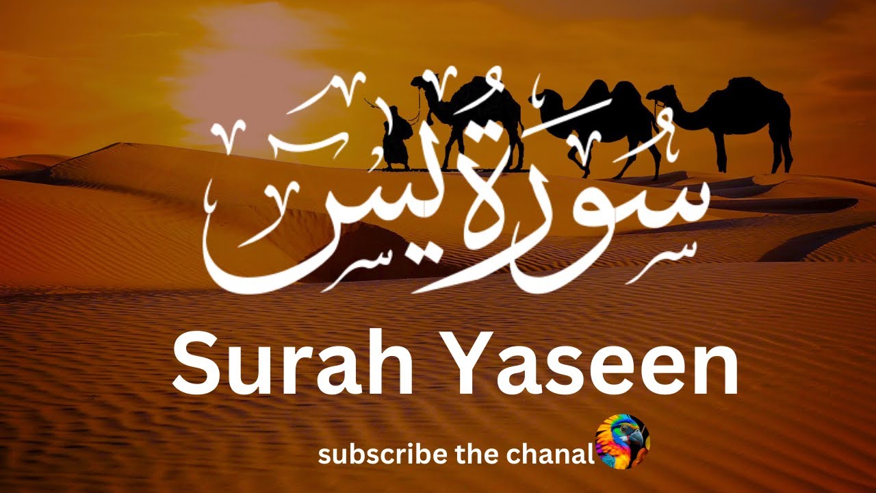 surah yasin yaseen with urdu translation quran tilawat beautiful voice ...
