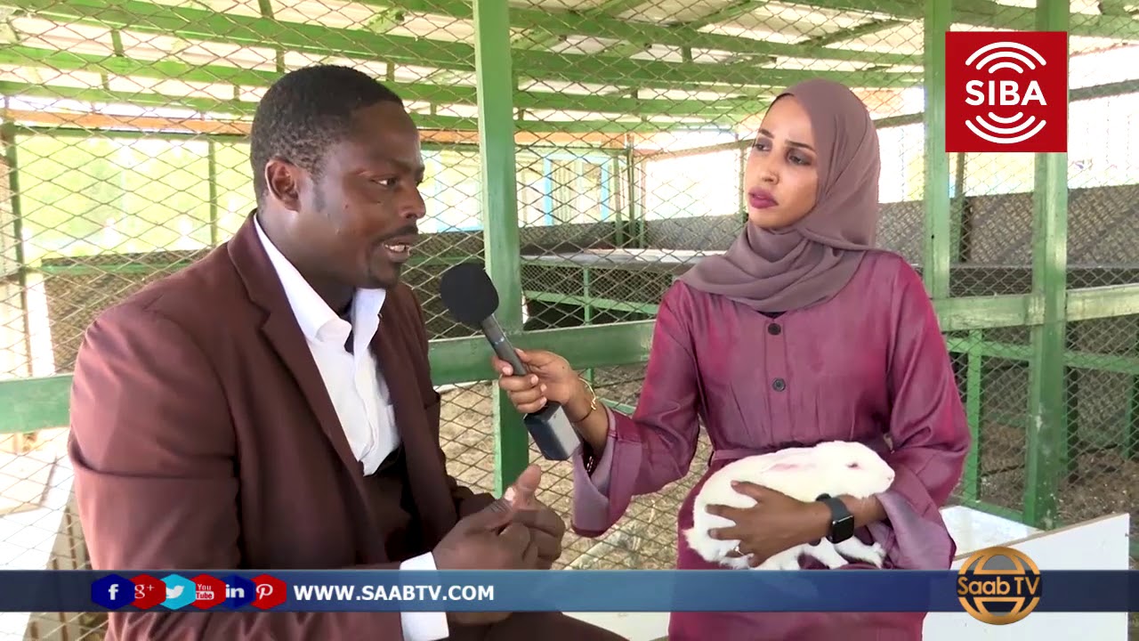 Beerta Dalxiiska Daarasalaam Ee Muqdisho - YouTube