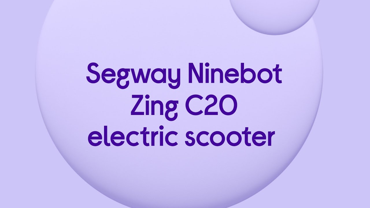 Segway Ninebot Zing C20 Electric Scooter - Charcoal & Red - Product ...