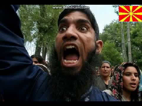 MONKEYDONIA TIMELESS SINCE 1991 - YouTube