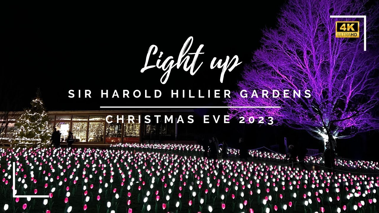 Light Up Hillier Gardens - Christmas Light Trail [UHD 4K] - YouTube