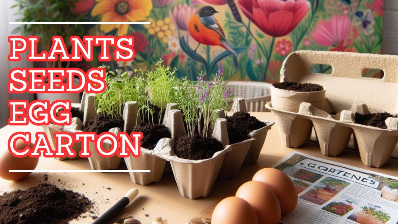 Plants, Seeds, Egg Cartons and more! - YouTube
