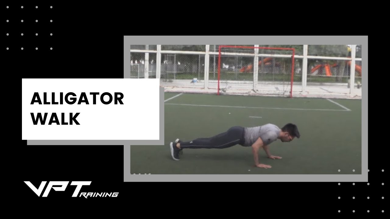 Aligator Walk - YouTube