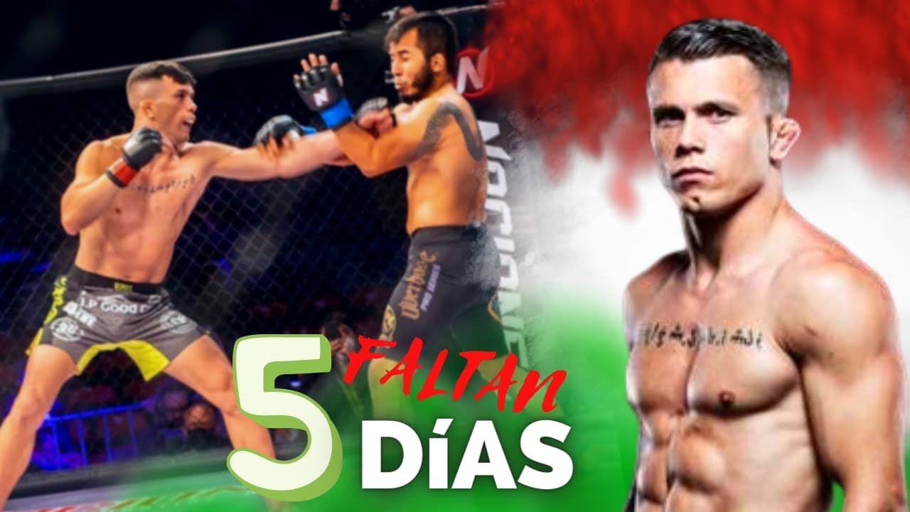 Entreno MMA enfermo!! ENTRAM GYM Mex/ psicólogo deportivo__ #ufc #uwc ...
