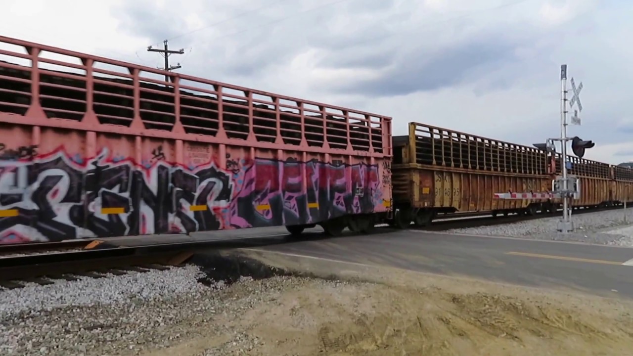 Rail-fanning at Acca Yard (CSX) Richmond, VA - YouTube