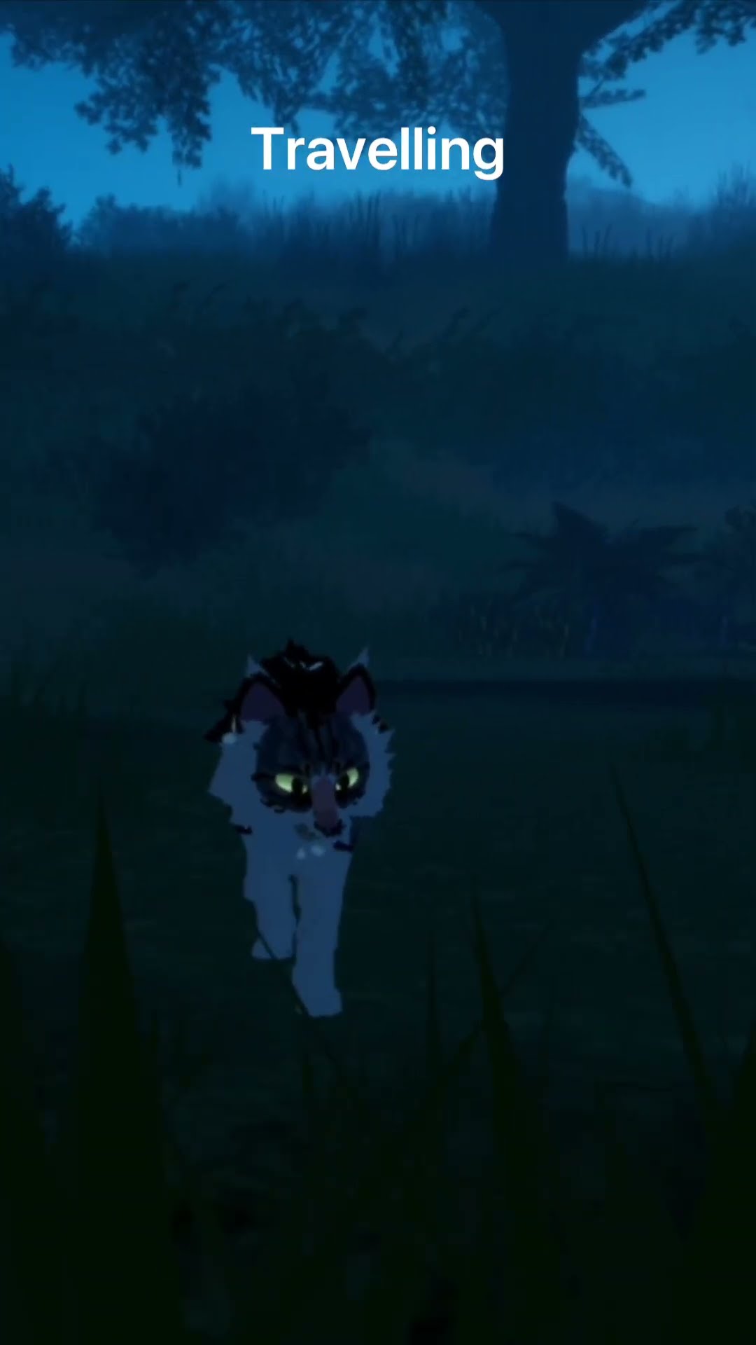 Travelling #traveling #warriorcats #roblox #carrion place #windclan ...