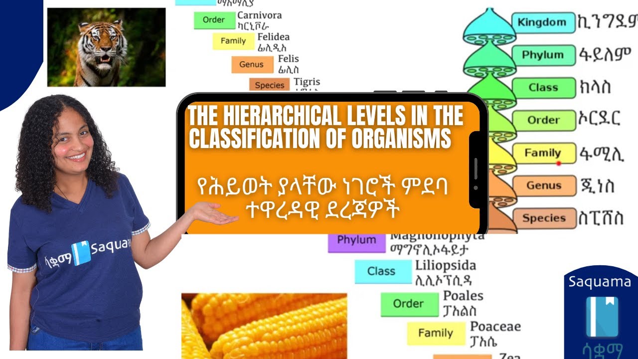 Grade 7 General Science Unit 5: The hierarchical levels in the ...