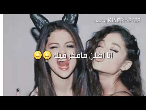 حالات واتس اب ✋👊