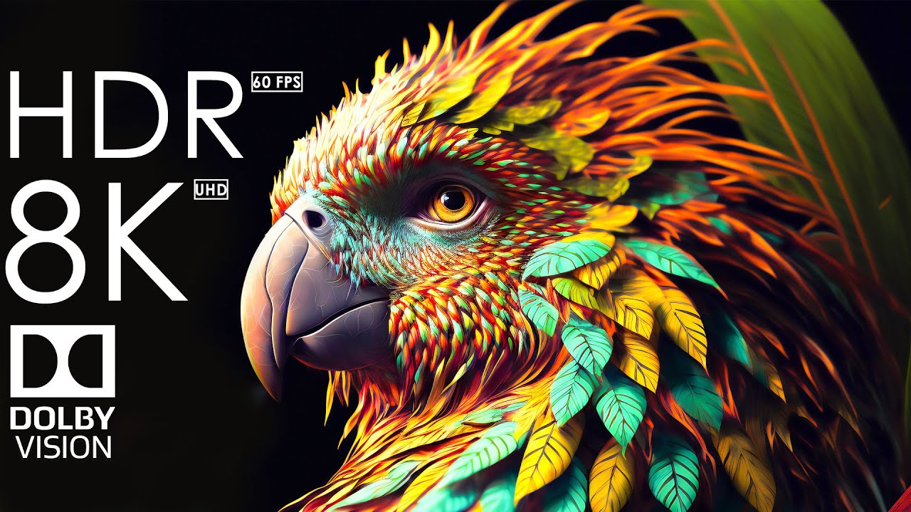 8K HDR 60fps Dolby Vision with Calming Sounds (Colorful Bird) - YouTube