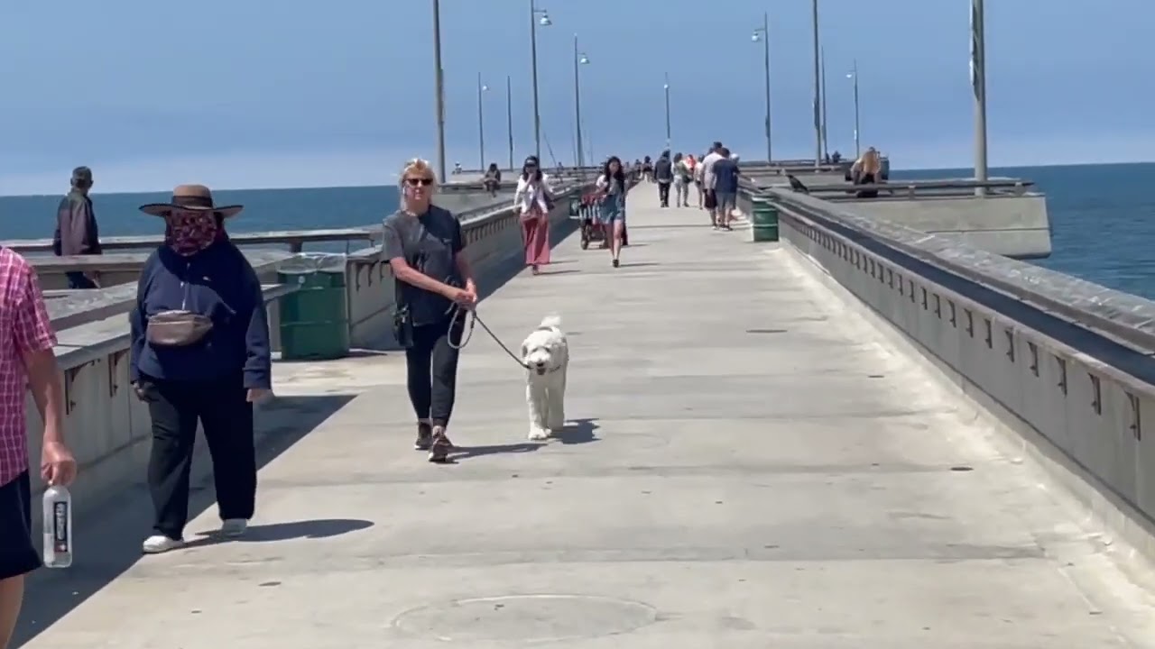 Marina del Rey - YouTube