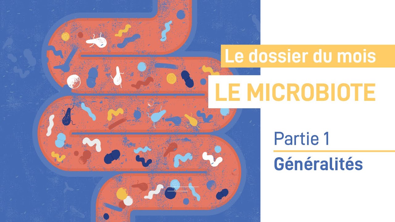 Les recherches sur le Microbiote - Partie 1 - YouTube