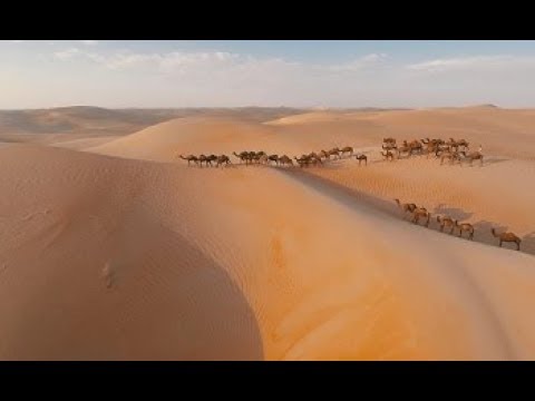 Showcasing the color of the Sahara - YouTube