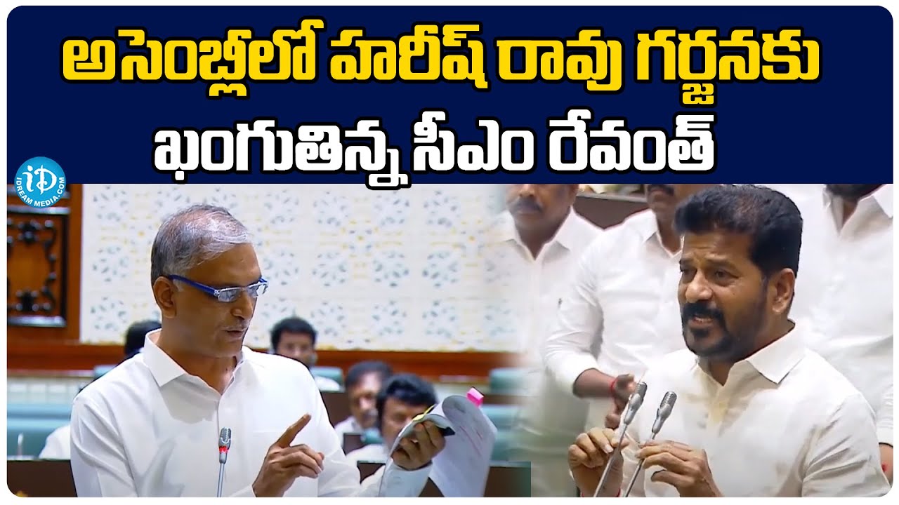 Ex Minister Harish Rao full speech on Krishna Basin Projects in ...