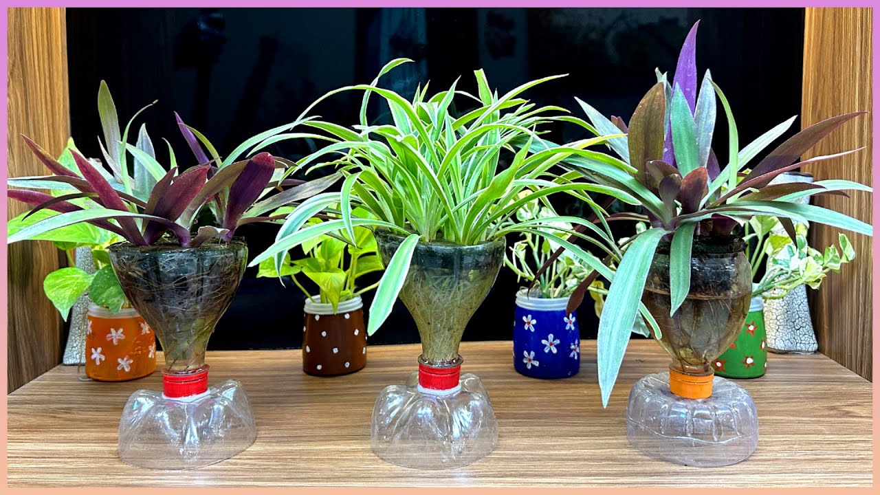 How to make a simple plant pot! Tips to save money and time when taking ...