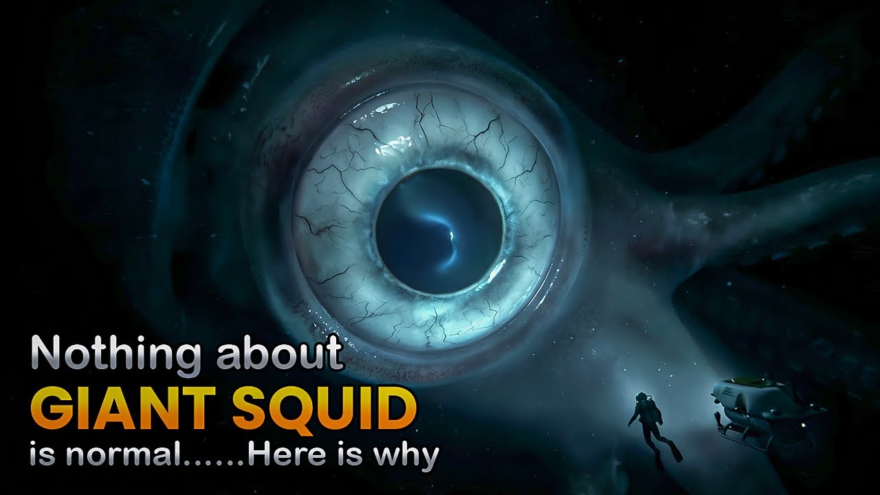 Nothing About the Colossal Squid Is Normal… Here’s Why - YouTube