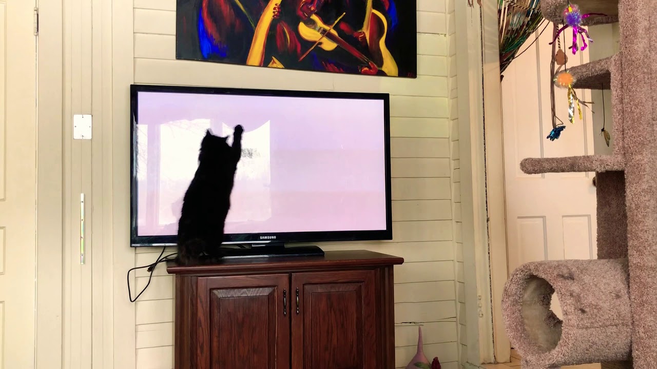 Winks favorite show to binge watch - YouTube