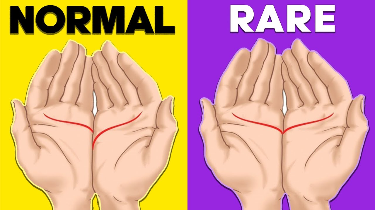 If You Have These SIGNS Then You Are A GENIUS | WHAT YOUR HAND SAYS ...