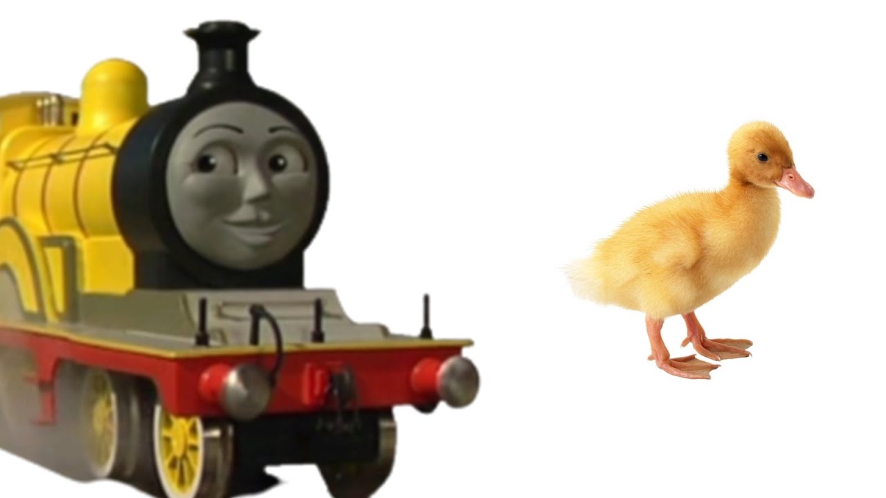 Thomas & Friends characters and their favourite animals - YouTube