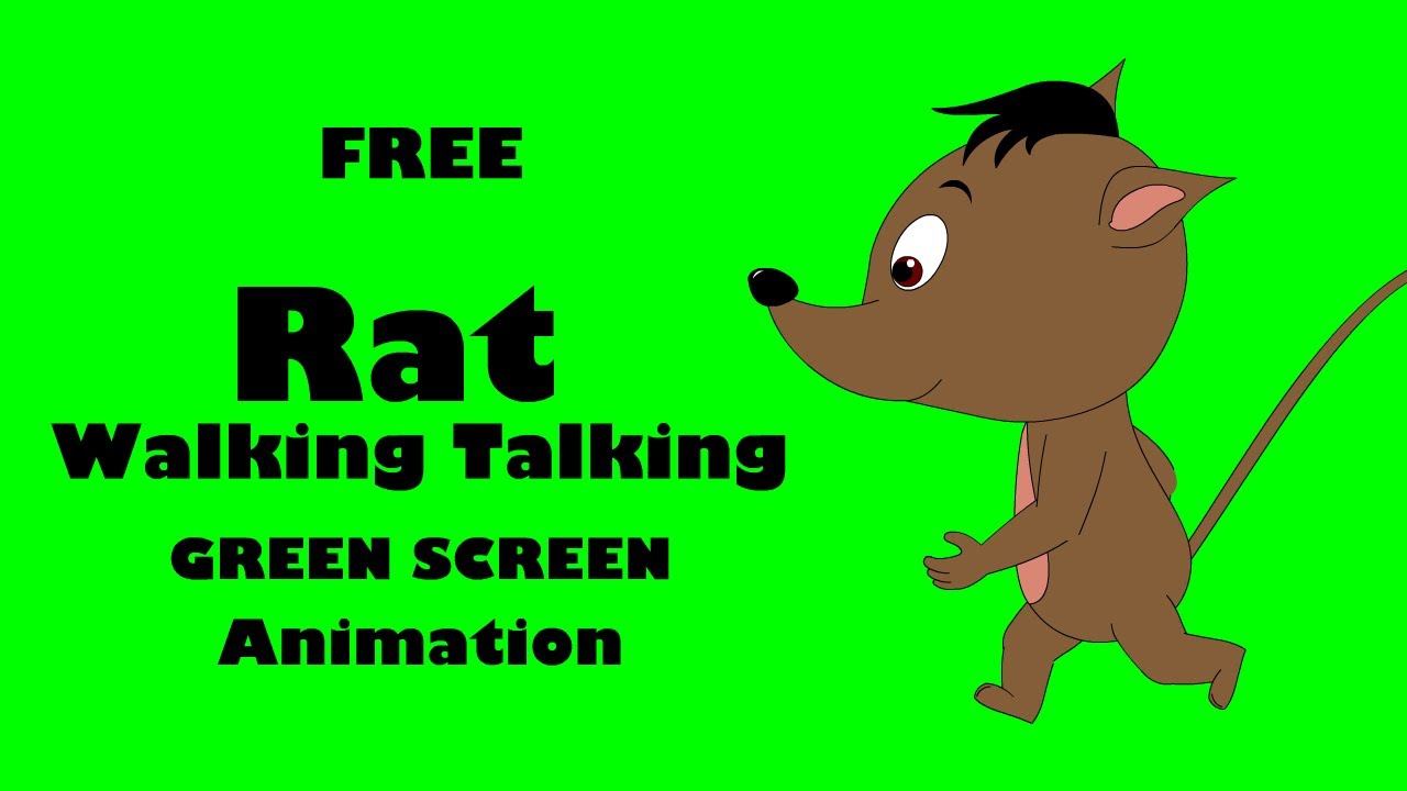 Free Rat Walking & Talking free Animation - YouTube