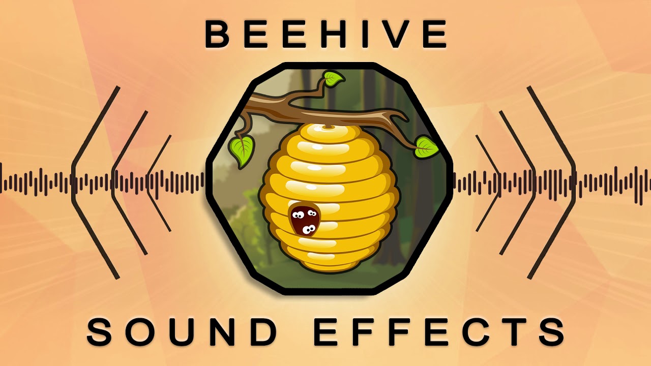 Beehive | Free Sound Effect - YouTube