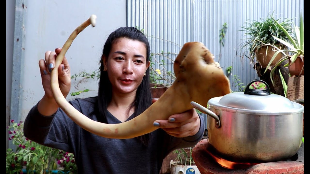 Yummy Cooking cow tail soup recipe- Cow tail soup - YouTube