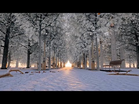 Deep House + Motivation | Jim Rohn on Adapting to Life’s Changes - YouTube