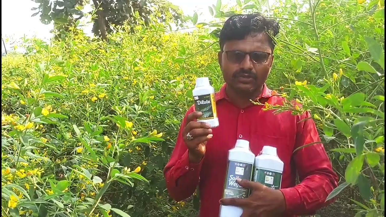 Tur Farming | तूर शेतीत वाशिमच्या शेतकऱ्याचा अप्रतिम निकाल मराठी ...