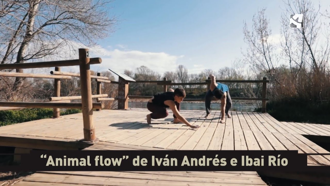 Danza “Animal flow” de Iván Andrés e Ibai Río - YouTube