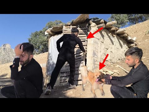 Searching for Muhammad's mother in the mountains: Muhammad saves a dog.