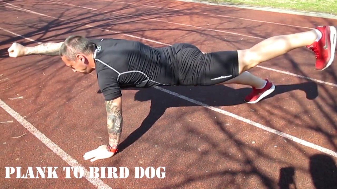 Bird-Dog Plank - YouTube