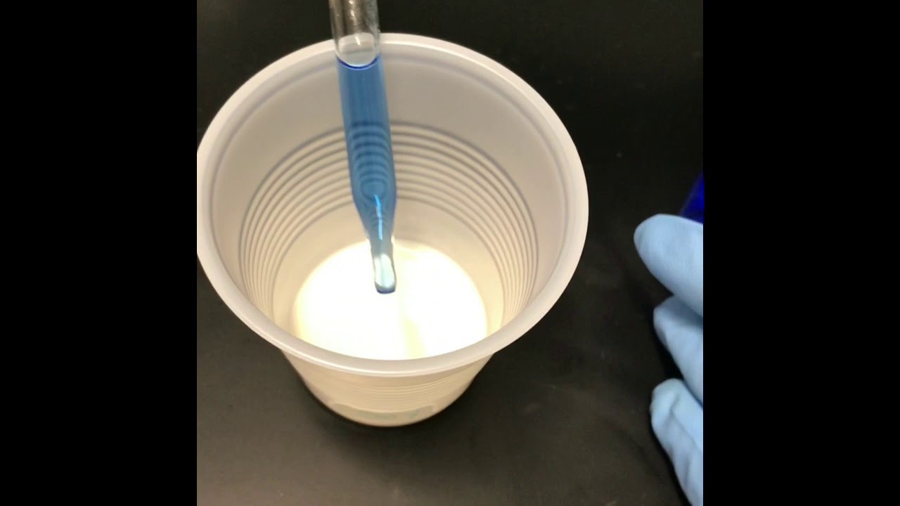 Starch And Protein Indicator Lab Part 3 - YouTube
