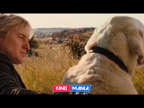 «Один из любимых 😢♥️ ⠀ 🎬 Марли и я 🎵 Amos Lee   Colors