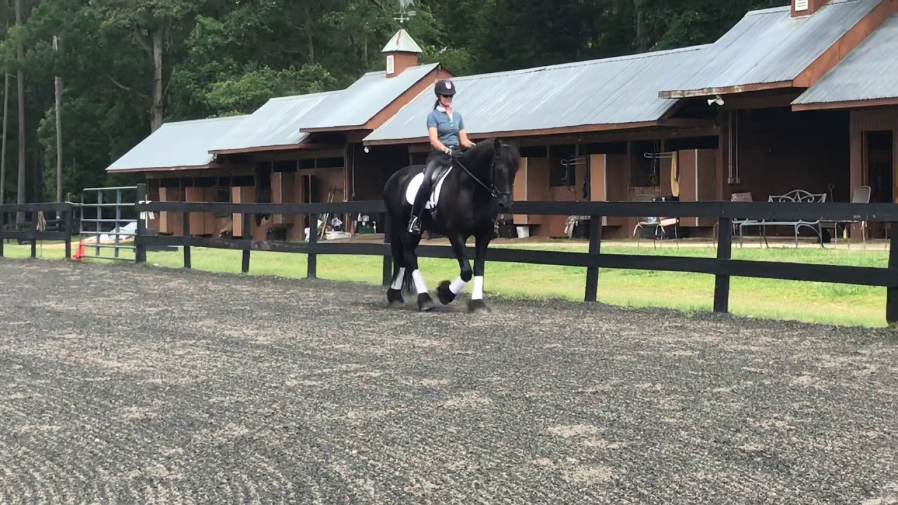 2nd level canter work - YouTube