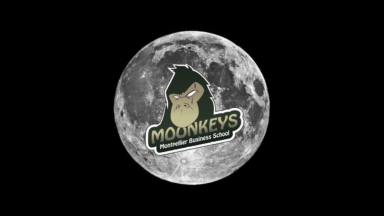 Teaser- Moonkeys MBS - YouTube